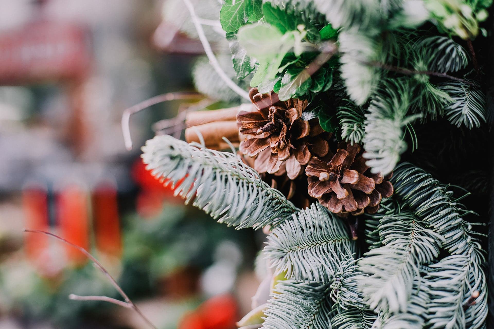 What Should I Include In My Holiday Rental Agreement what-should-i-include-in-my-holiday-rental-agreement
